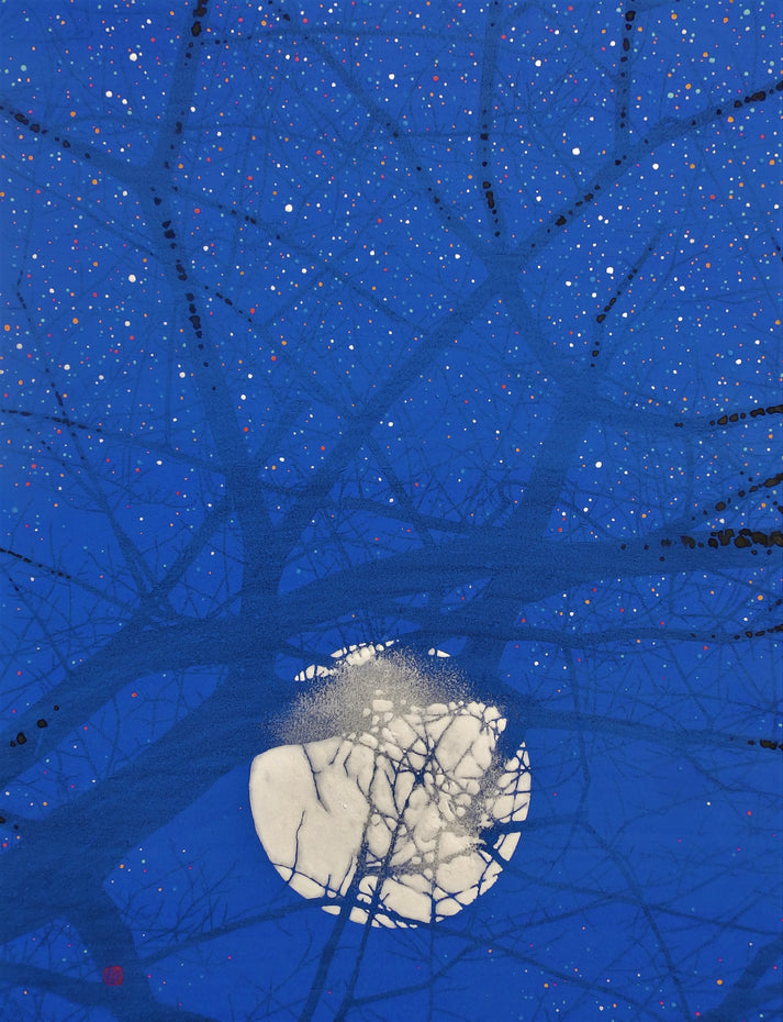 「星回廊」Stellar Gallery [Type B] – Kazu Saito Official online store